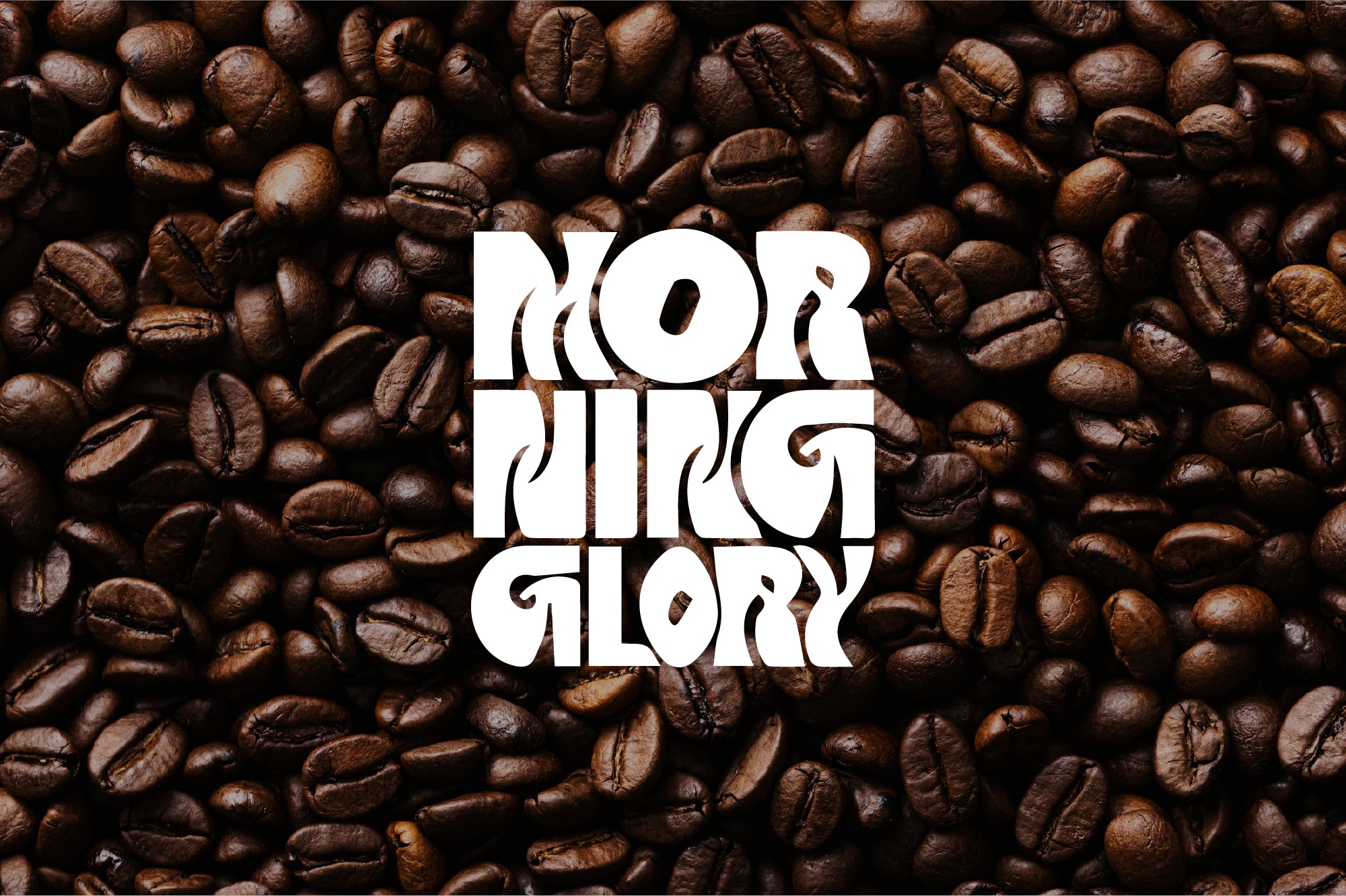 October 2024 – Morning Glory Coffee Roasters
